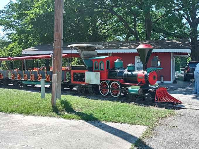 That magnificent miniature locomotive isn't just transportation&mdash;it's a time machine to simpler, sweeter days of pure joy.