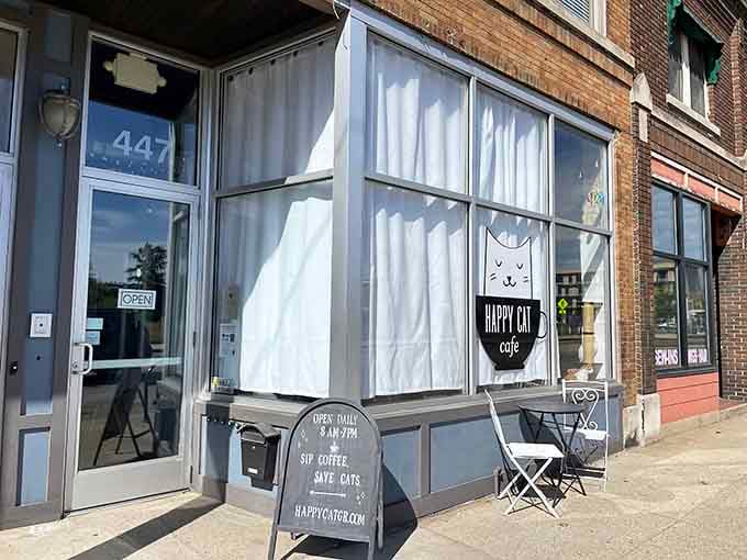 The storefront promises coffee and cats, which is basically the entire internet in brick-and-mortar form.