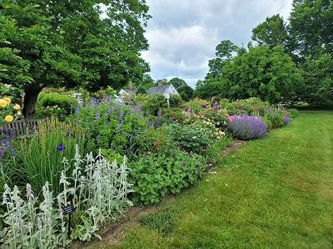 Perennial borders that'll make your neighbor's garden look like a parking lot with weeds.