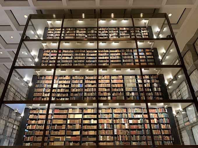 Floor-to-ceiling books stacked like the world's most impressive Jenga game, except nobody's allowed to pull one out.