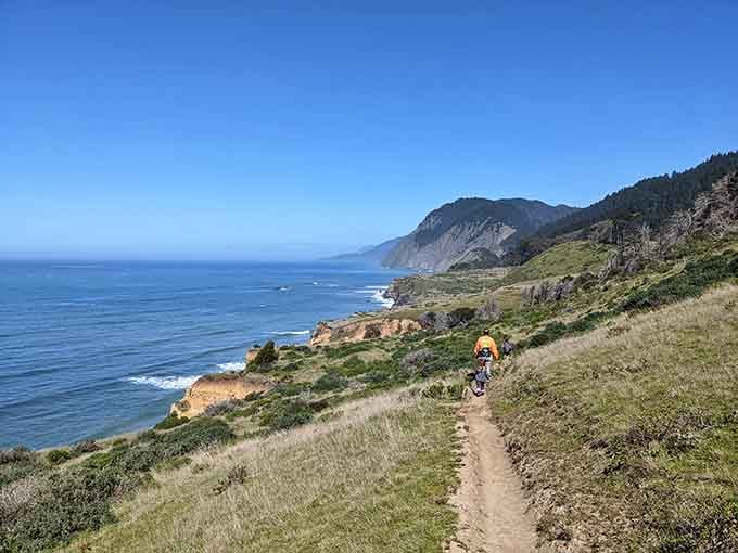 The Lost Coast Trail winds along bluffs where the Pacific meets wilderness in spectacular fashion.