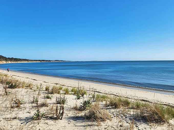 Soft sand, gentle waves, and room to breathe make this coastal paradise Virginia's best-kept secret.