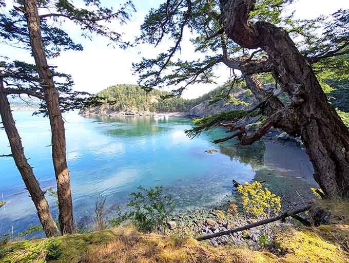 The crystal-clear waters and rocky shoreline of James Island create the perfect backdrop for your next Pacific Northwest adventure.