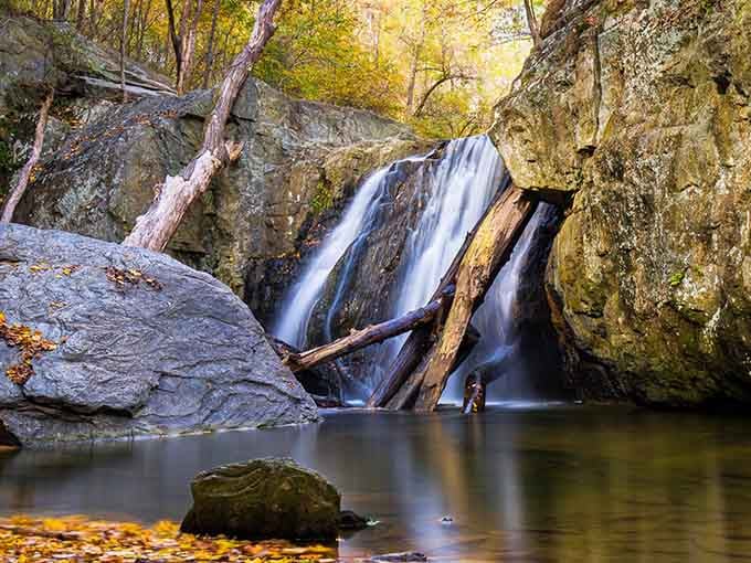 Autumn light filters through golden leaves as the waterfall cascades into its tranquil pool below, nature's perfect composition.