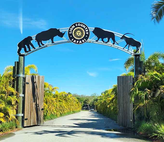 That entrance arch promises adventure, and unlike most promises in life, this one actually delivers spectacularly.