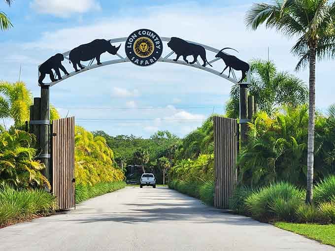 Driving under those animal silhouettes feels like crossing into Narnia, except warmer and with better wildlife viewing.