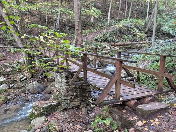 These charming wooden bridges cross Roaring Run like something from a storybook, minus the trolls underneath.