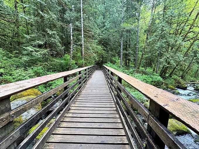 That wooden bridge isn't just a crossing, it's your official entrance into a world where cell service becomes optional.