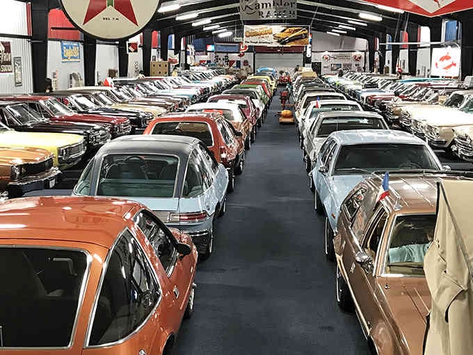 Rows of gleaming chrome stretch toward the horizon like automotive poetry written in steel and paint.