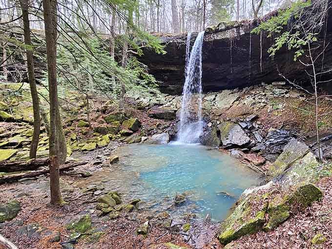 This is the kind of waterfall that makes you forget you're still in Alabama, not some exotic destination.