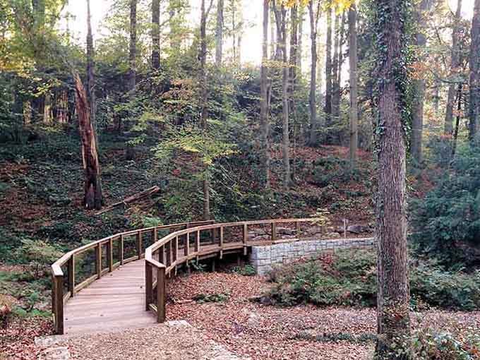 This winding boardwalk through ancient trees makes you feel as if you’re walking through Middle-earth, minus the hobbits.