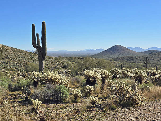 This Enchanting Arizona Park Looks Like A Postcard