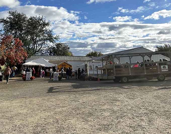 The farm's welcoming area buzzes with families discovering that authentic agriculture beats screen time.