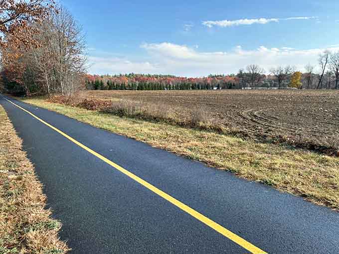 That yellow line isn't just for show; it's your personal highway to adventure minus the traffic jams.