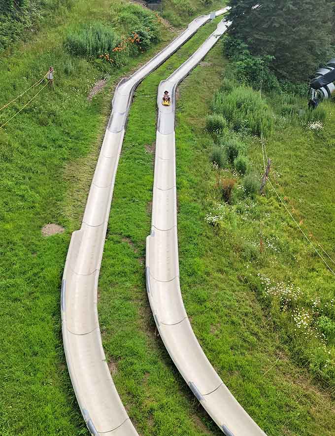 Two parallel tracks of pure possibility stretching down the mountainside, waiting to turn your afternoon into an adventure story.