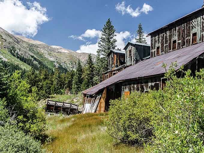 Surrounded by wildflowers and towering peaks, Paris Mill sits peacefully in its alpine setting like a perfectly preserved piece of history.