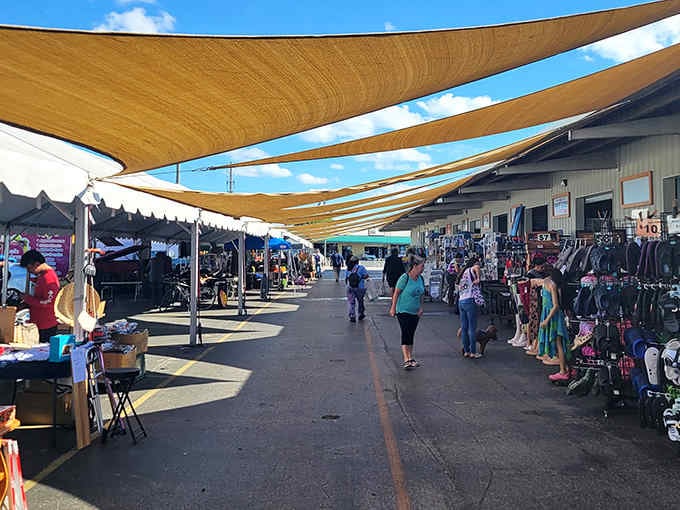 Those shade sails stretching overhead aren't just practical&mdash;they're your best friend when Florida decides to remind you who's boss.