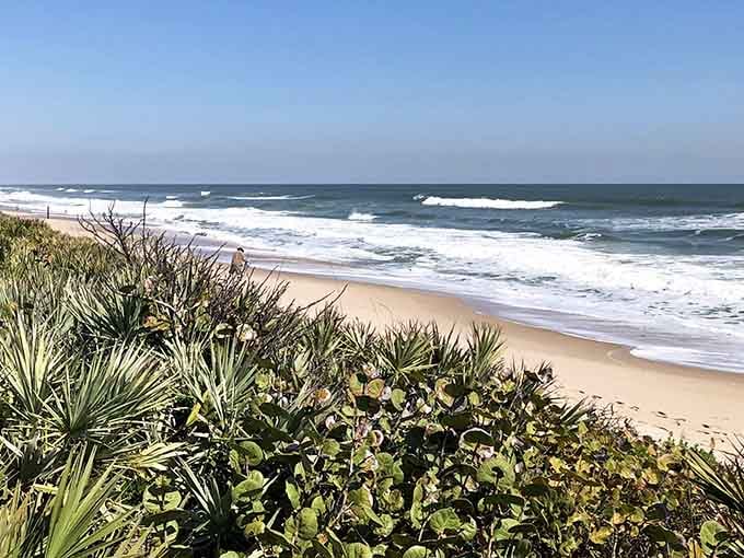 Native sea grapes and palmettos frame the Atlantic like nature's own welcome committee at work.
