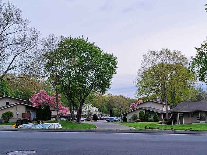 Tree-lined streets and well-kept homes paint Vernon's neighborhoods in that perfect New England charm you've been seeking.