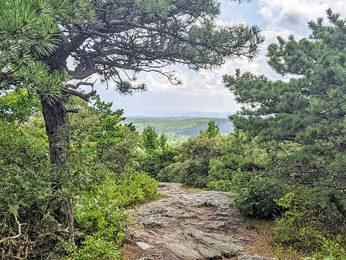When pine trees frame a view this spectacular, you know you've found something truly special in Connecticut.