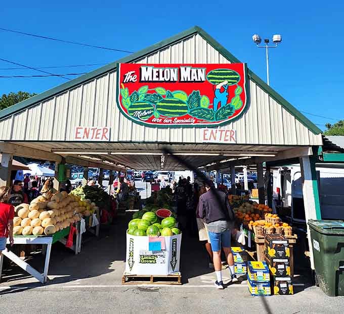 The Melon Man welcomes you to produce paradise where watermelons are stacked like edible architecture under sunny skies.