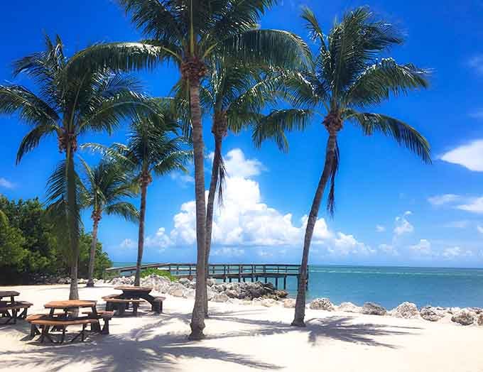 Those palm trees aren't just providing shade&mdash;they're framing your personal slice of paradise like nature's own picture frame.