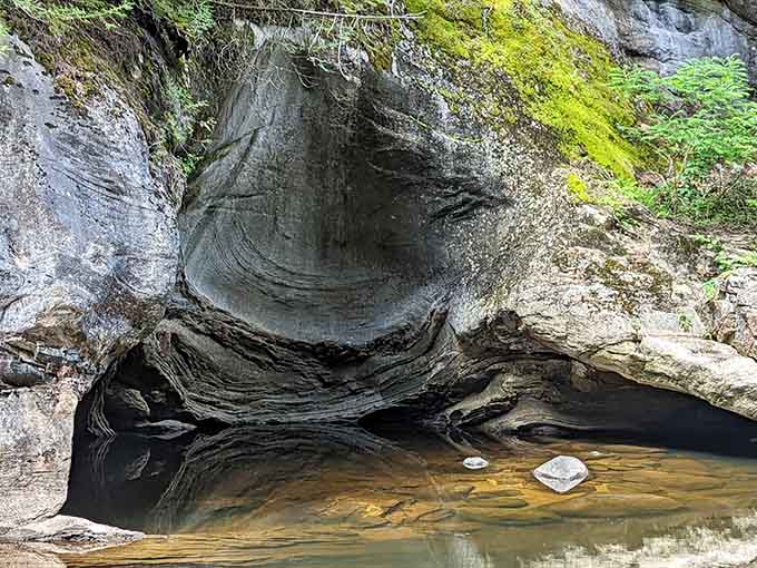 Water carved these smooth curves with the patience of a master sculptor who had all the time.