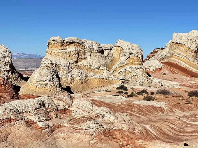 When geology decides to show off, this is what happens: swirled sandstone that looks like nature's marble cake.