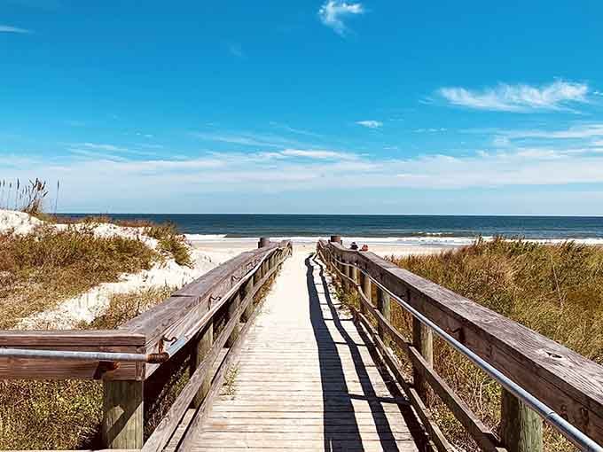 That wooden boardwalk leading to paradise? It's basically Florida's version of the yellow brick road, minus the flying monkeys.