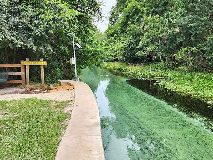 The entry point where your lazy river adventure begins and your worries officially end for the day.
