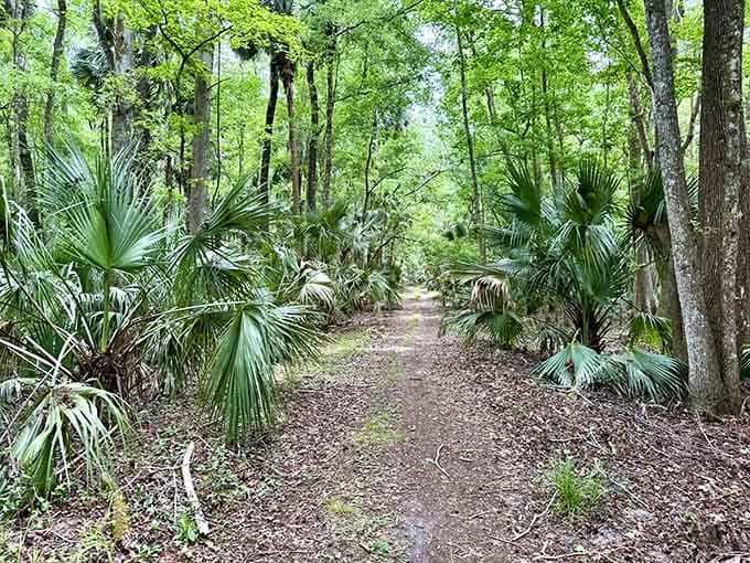 The trail beckons like nature's own red carpet, minus the paparazzi and uncomfortable shoes.