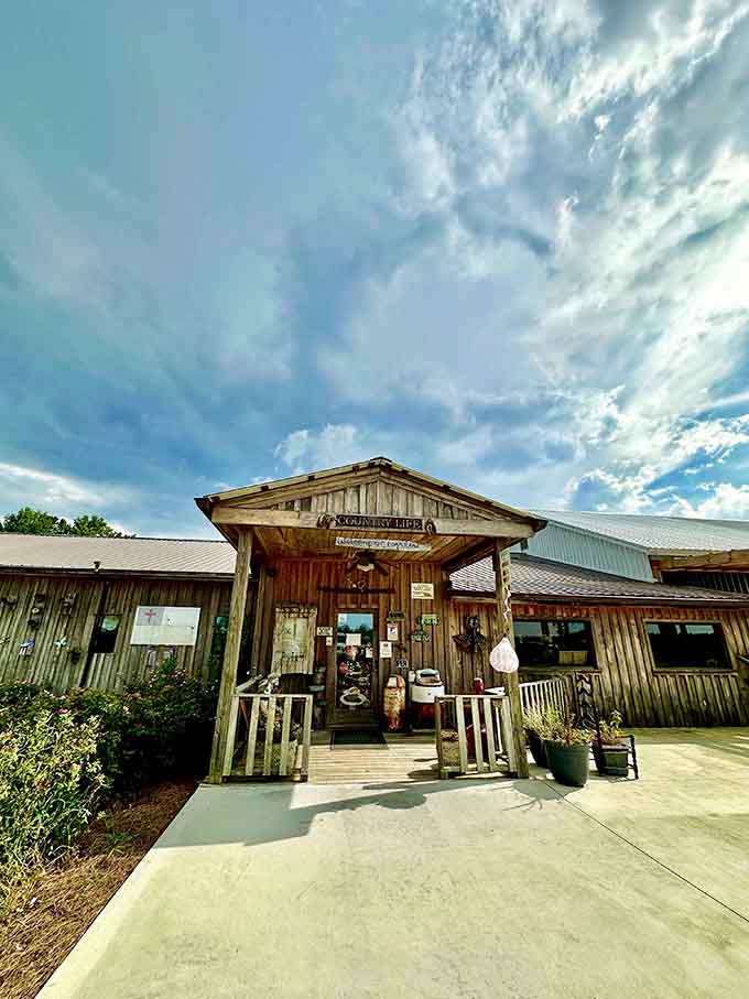 When your restaurant looks this inviting, you don't need billboards to attract hungry travelers.