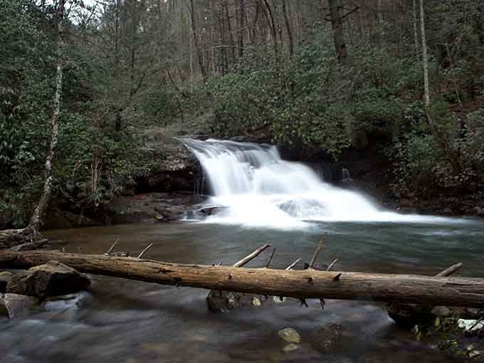 That silky cascade framed by ancient forest? That's your reward for actually leaving the house today.