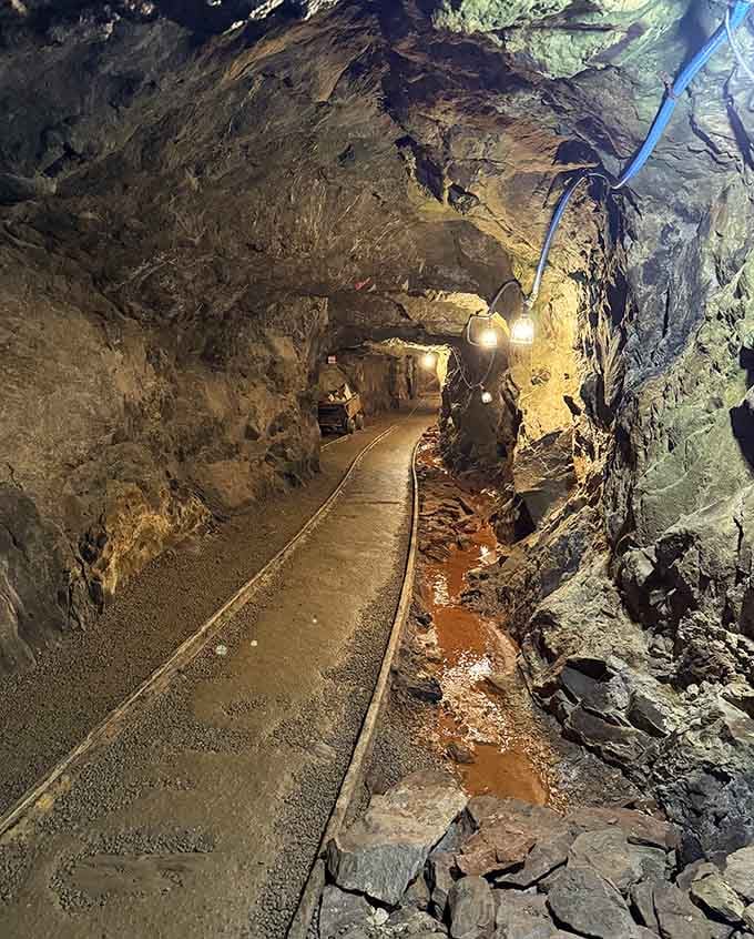 The tunnel beckons you forward, rails guiding your journey into Georgia's glittering past beneath the mountains.