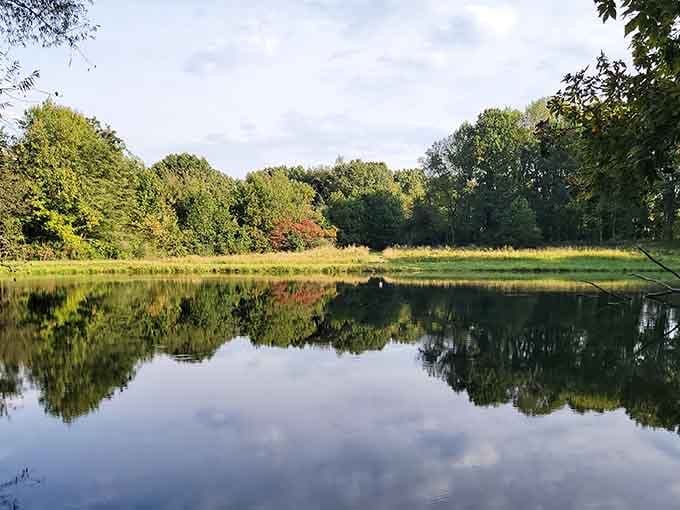 Perfect mirror reflections on calm waters showcase Giant City's peaceful side, where nature's beauty doubles right before your very eyes.