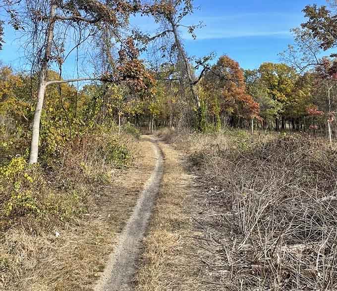 Nature's highway stretches ahead, inviting riders to leave their worries at the trailhead and just breathe.