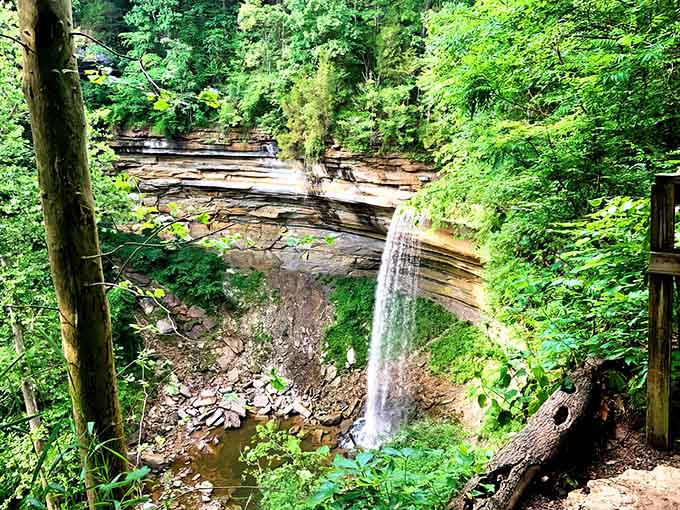 Nature's architecture at its finest, where ancient limestone meets cascading water in perfect harmony.