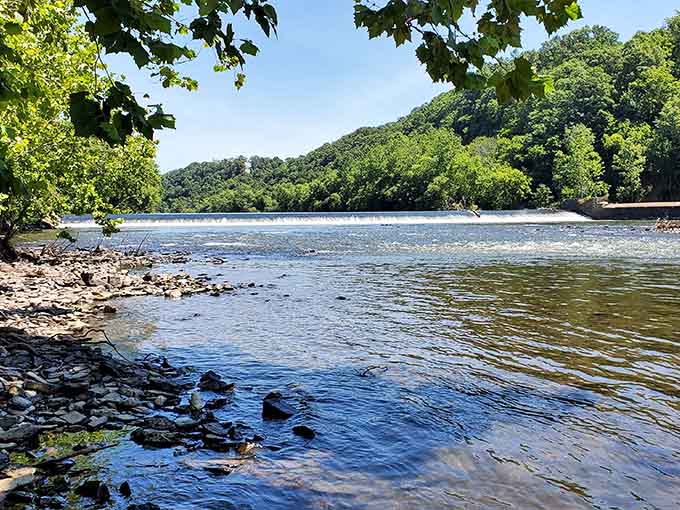 The Schuylkill River at Black Rock Sanctuary looks like someone Photoshopped the reflections, but nope, it's all real.