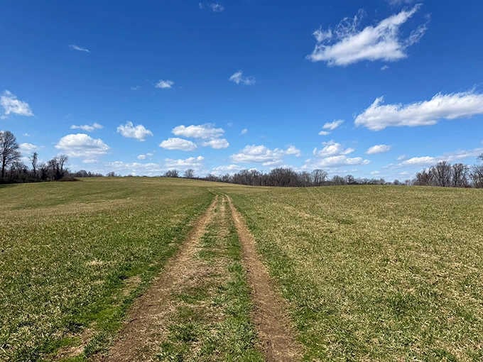 Sometimes the best trail is the one that doesn't try too hard, just lets you breathe and wander peacefully.