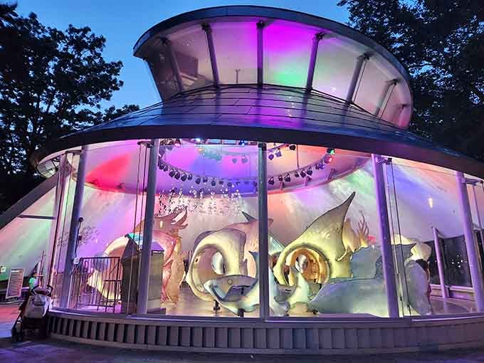 When the sun sets, the SeaGlass Carousel transforms into a luminous jewel box of underwater wonder.