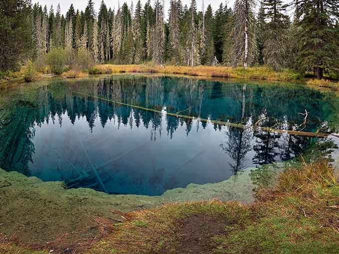 That blue is so vivid, you'll wonder if someone accidentally dropped food coloring in nature's punch bowl.