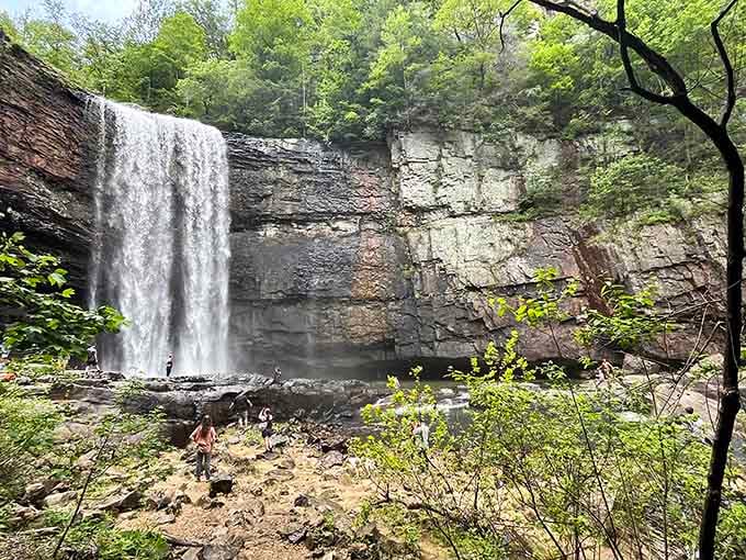 When nature decides to show off, this is what happens: 120 feet of pure waterfall magic.