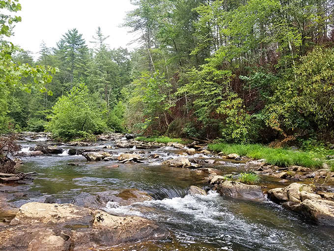 The river beckons you forward, promising that something spectacular waits just around the bend ahead.