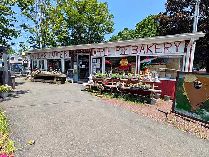 The charming storefront practically begs you to pull over, and those neon signs hint at the homemade magic waiting inside.