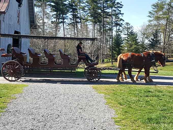 Those magnificent draft horses aren't just pulling a carriage&mdash;they're pulling you straight into another century.