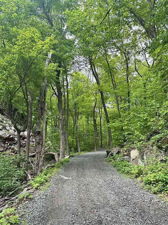 The journey begins where gravel meets green, and every step forward promises something extraordinary waiting at the top.