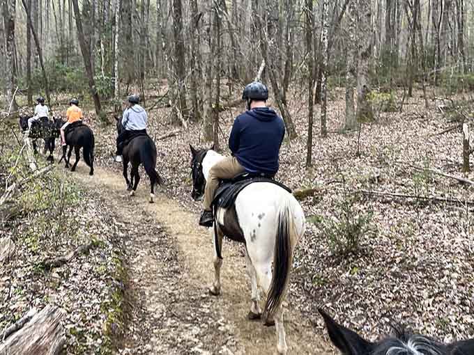 Following the trail through quiet woods, you'll feel like you've stepped into a simpler, more peaceful time.