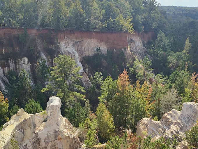 Nature's layered masterpiece rises from the forest floor, proving that erosion can create beauty beyond imagination.