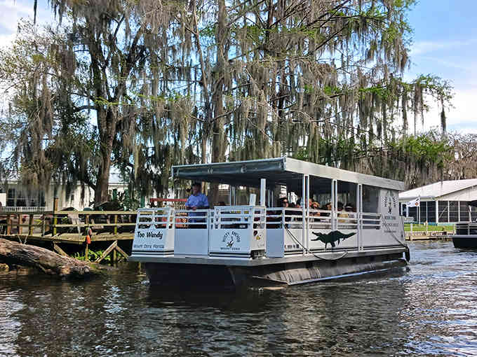 Your chariot awaits, complete with shade, seating, and zero chance of capsizing into gator territory.