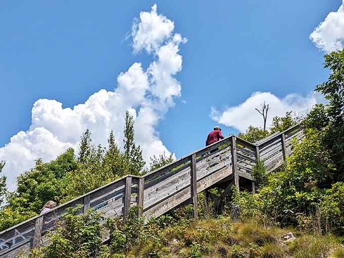 Those wooden stairs aren't just functional, they're your personal stairway to something extraordinary waiting above.
